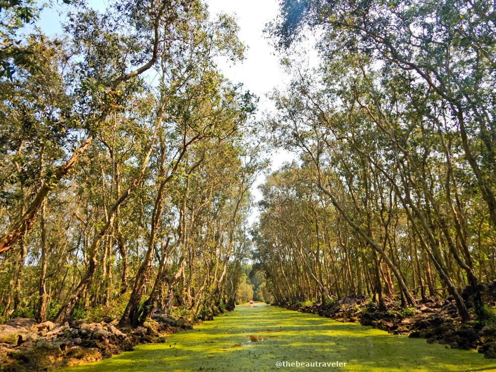 Top 5 Places to Visit in An Giang Province, Vietnam